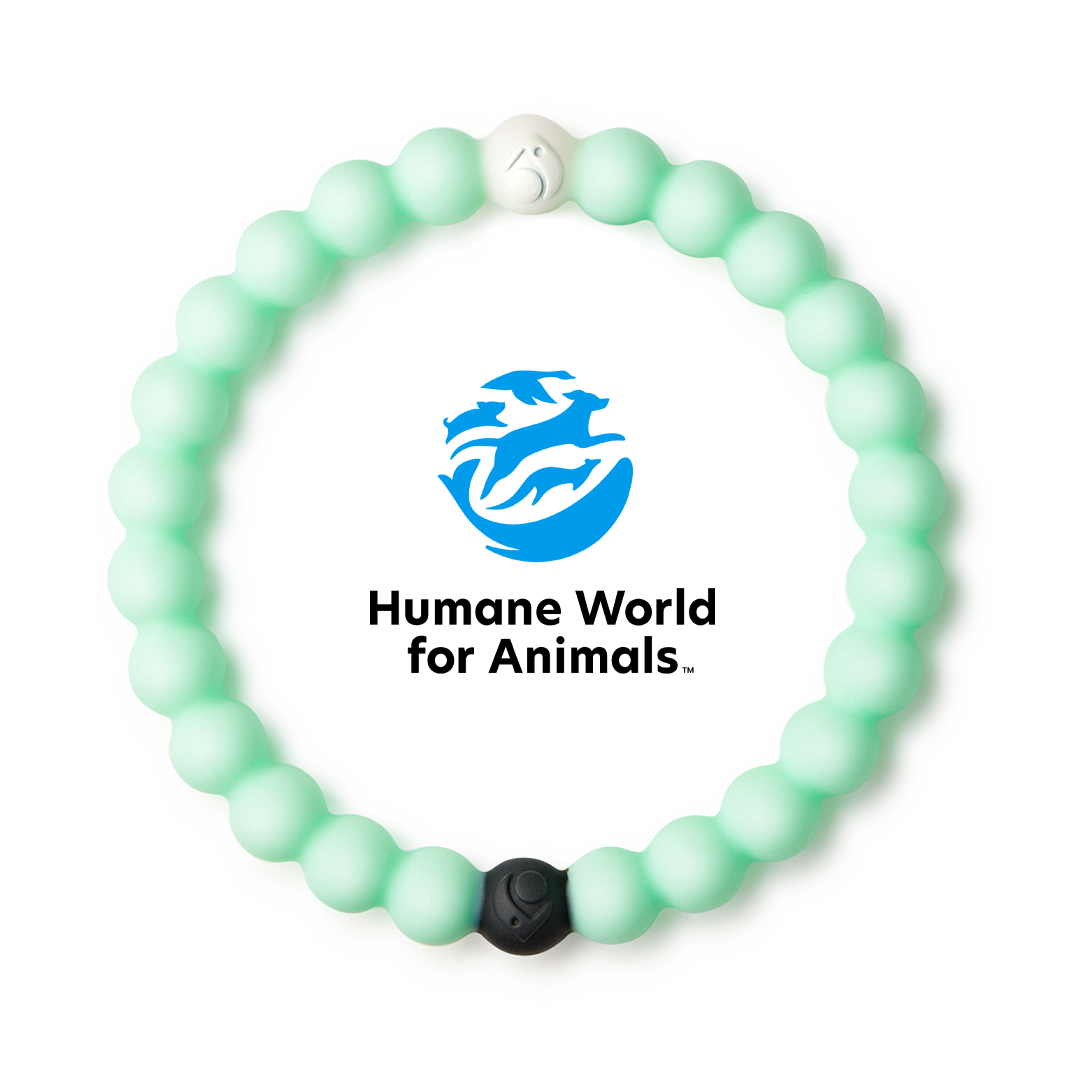 Animal Rescue - Pawsitive Pearls Bracelet – Lokai
